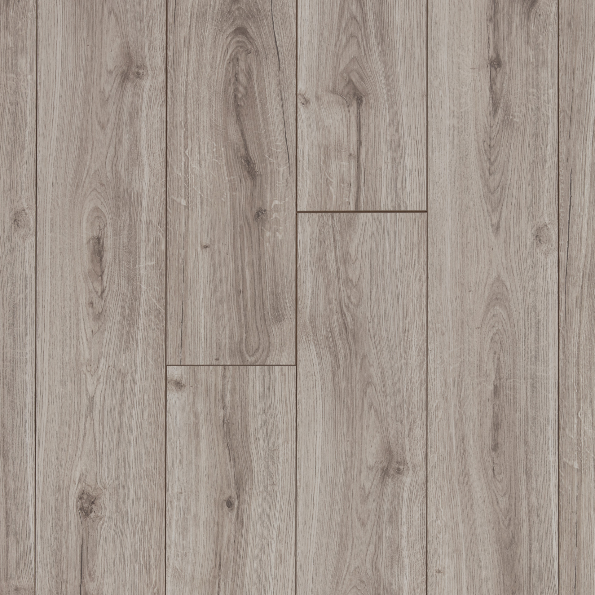 Como Tarlatan Laminate Flooring | Tapi Carpets & Floors