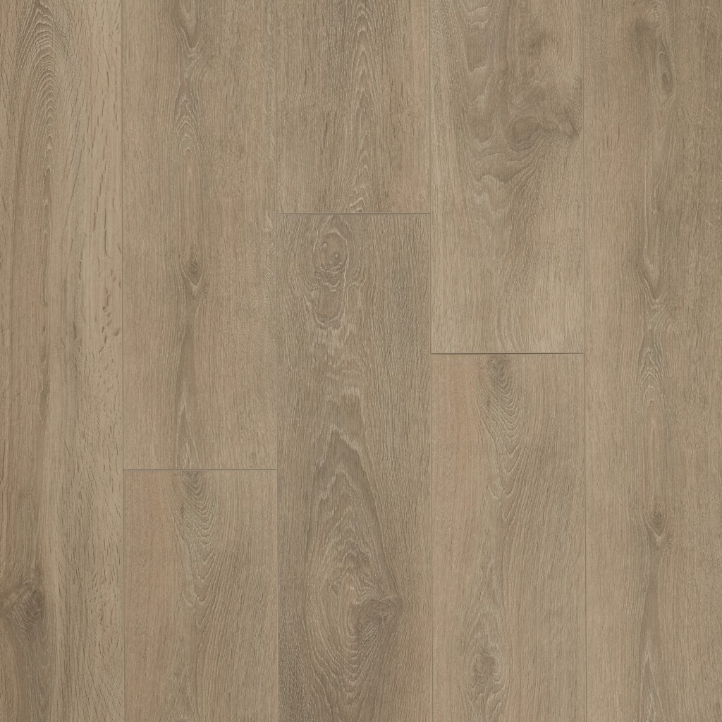 Laminate Wood Flooring | Wood Laminate Flooring | Tapi