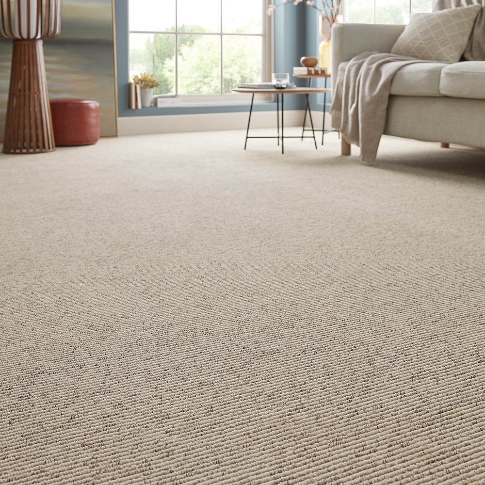 Buy new carpet store