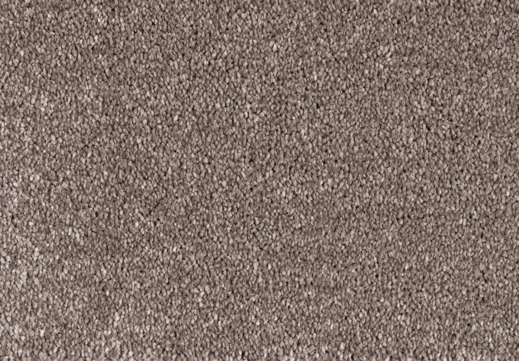 Beige Carpet | Tapi Carpets & Floors - page 10