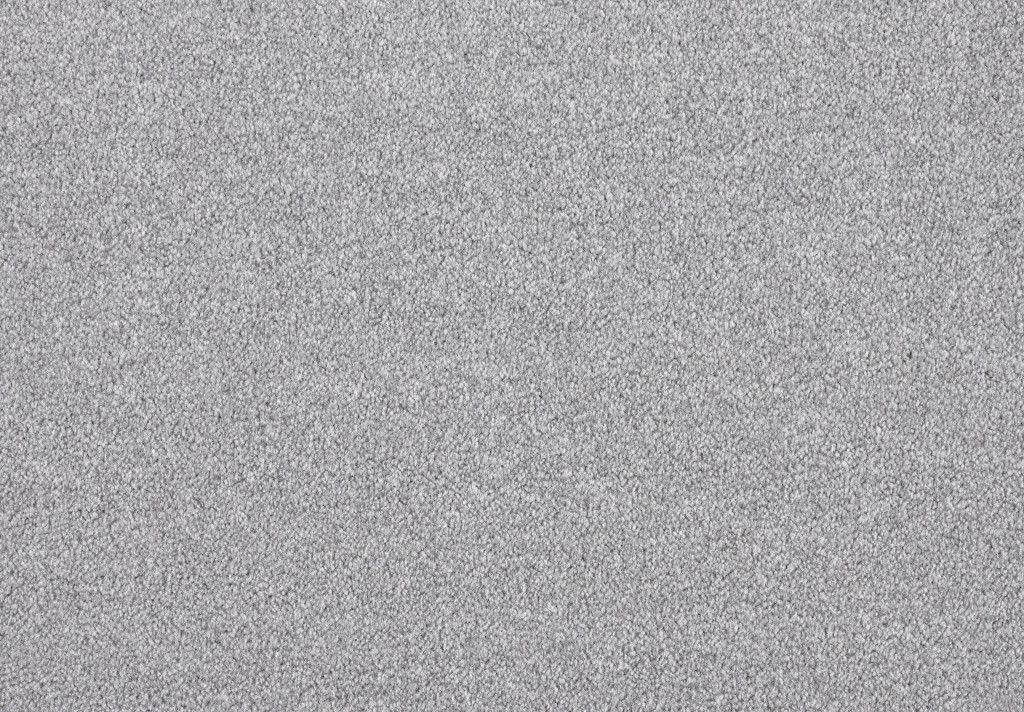 Silver Carpets | Tapi