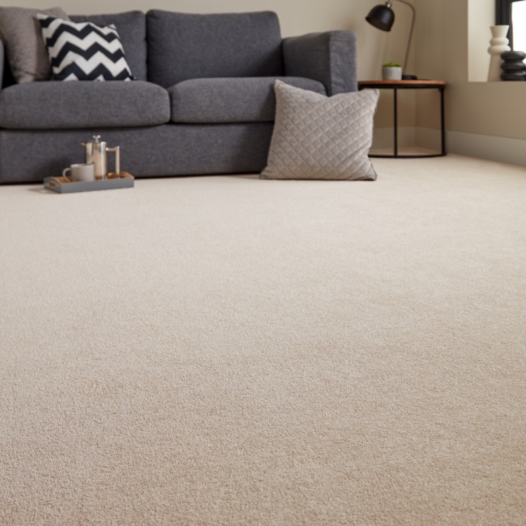 Rodeo Drive Carpet | Tapi Carpets & Floors