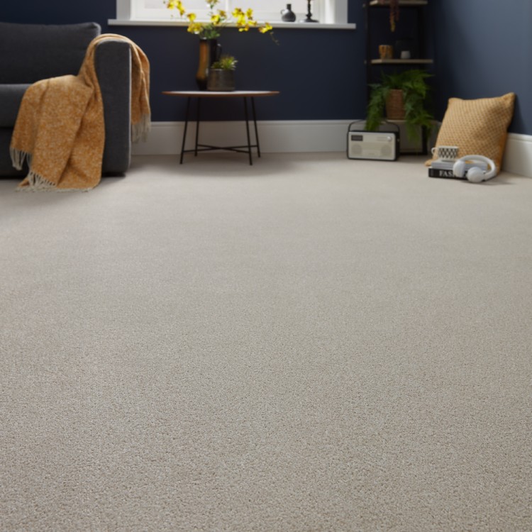 Carpetright Devon Twist Carpet | Tapi Carpets & Floors