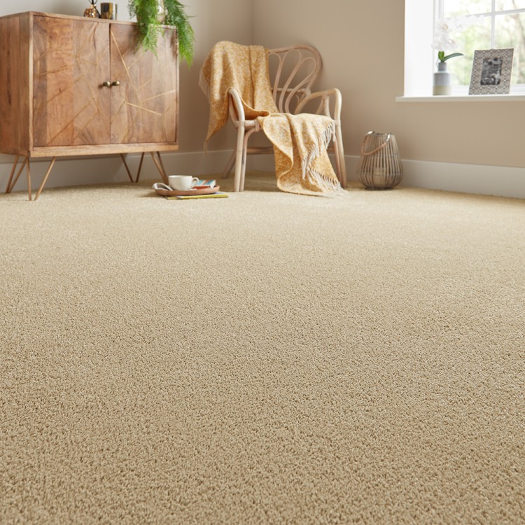 Salerno Saxony Carpet | Tapi Carpets & Floors