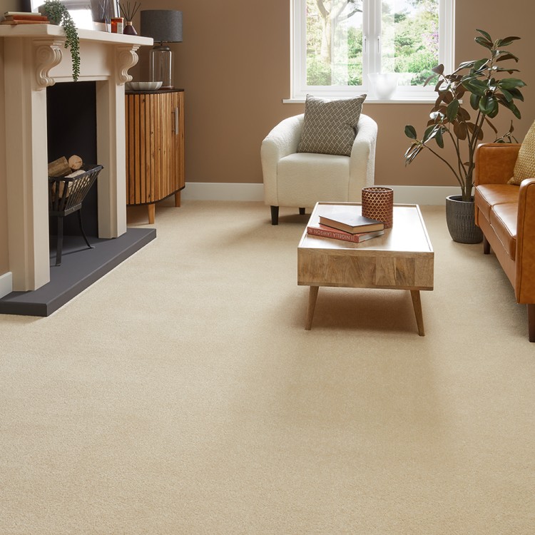 Gladstone Twist Carpet | Tapi Carpets & Floors