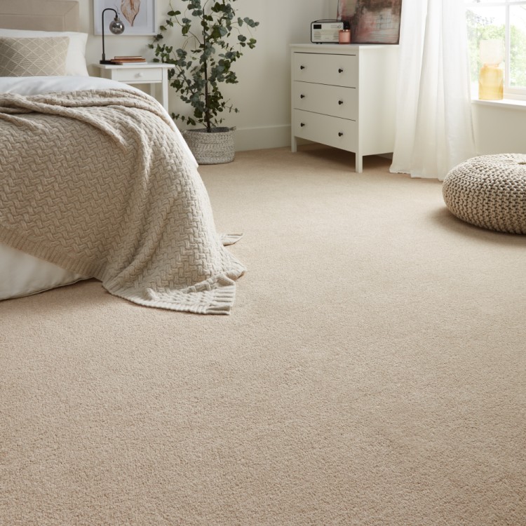 Asha Saxony Carpet | Tapi Carpets & Floors