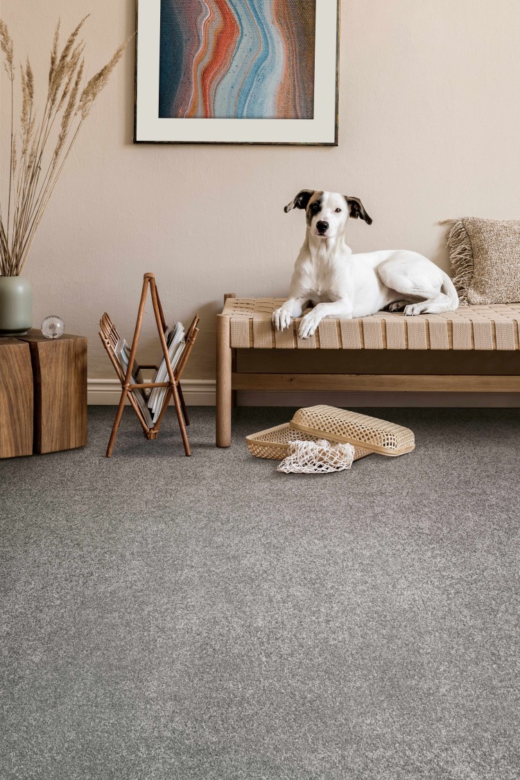 Bronco Carpet | Tapi Carpets & Floors