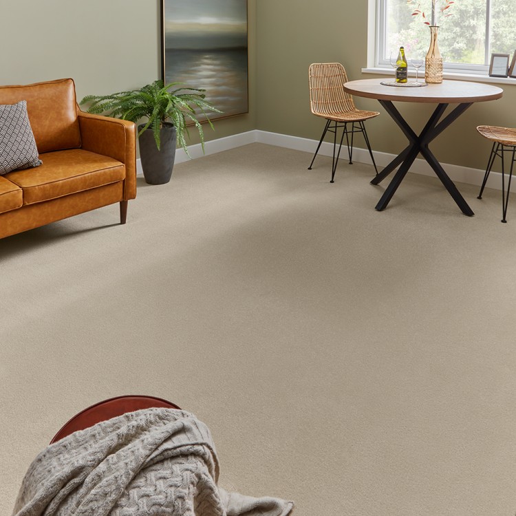 Dylan Twist Carpet | Tapi Carpets & Floors