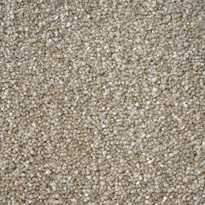 First Impressions Carpet | Tapi Carpets & Floors