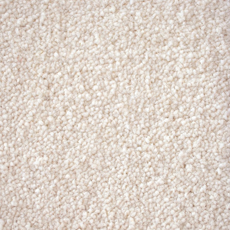 First Impressions Carpet | Tapi Carpets & Floors