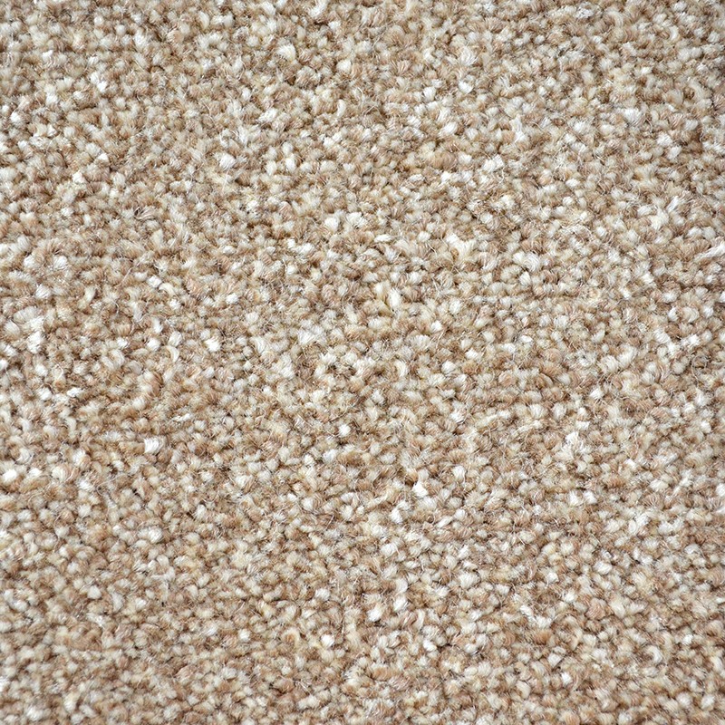 First Impressions Carpet | Tapi Carpets & Floors