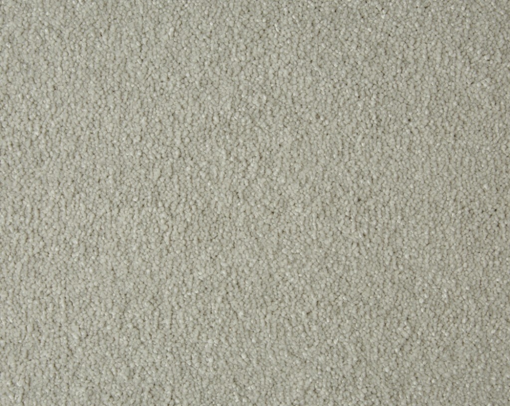 Silver Carpets | Tapi