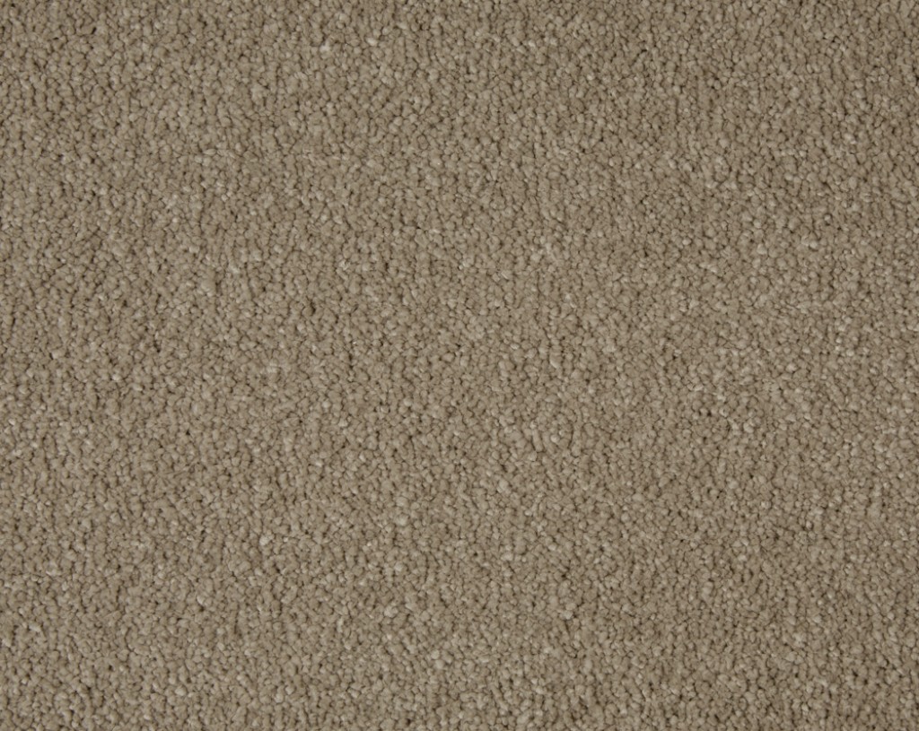 Buy Brown Carpets Online | Upto 50% Off | Tapi Carpet & Flooring