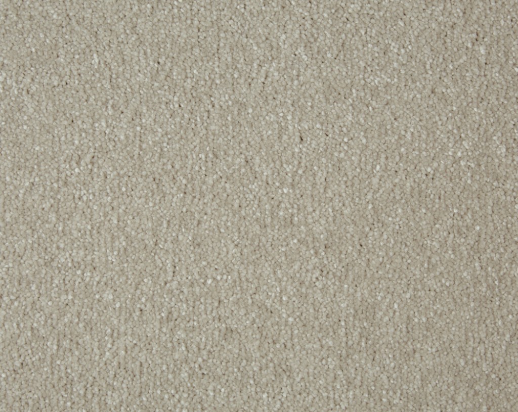 Buy Beige Carpets Online | Upto 50% Off | Tapi Carpet & Flooring