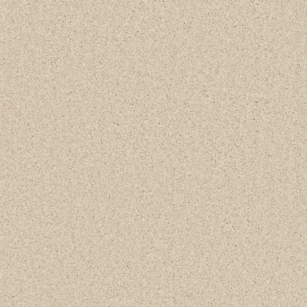 Cream Carpets for Sale | Cream Coloured Carpets | Tapi