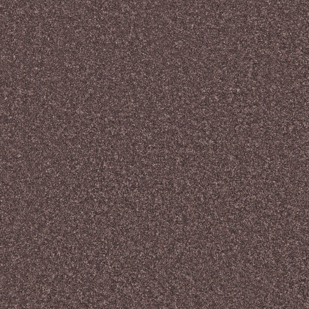 Purple Carpet | Buy Violet Carpets at Great Prices | Tapi