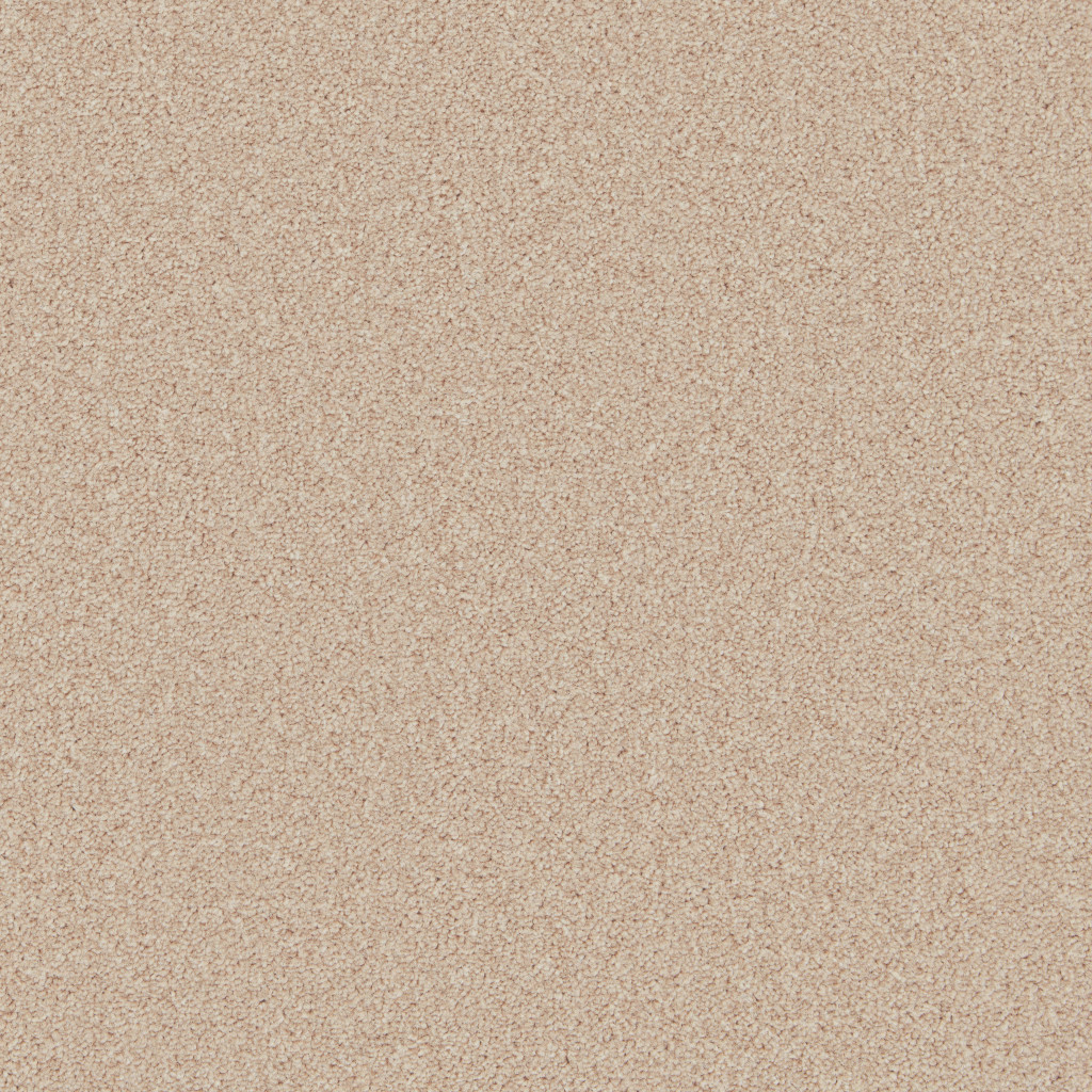 Cream Carpets for Sale | Cream Coloured Carpets | Tapi