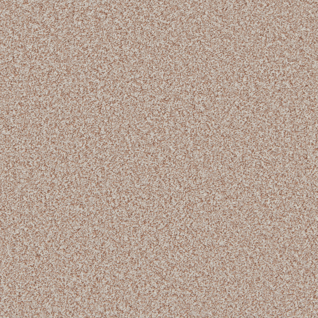 Buy Beige Carpets Online | Upto 50% Off | Tapi Carpet & Flooring