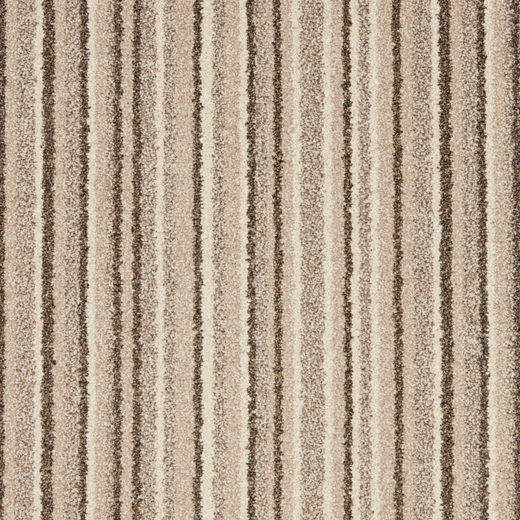 Multi-Coloured Carpet | Buy Colourful Carpets | Tapi