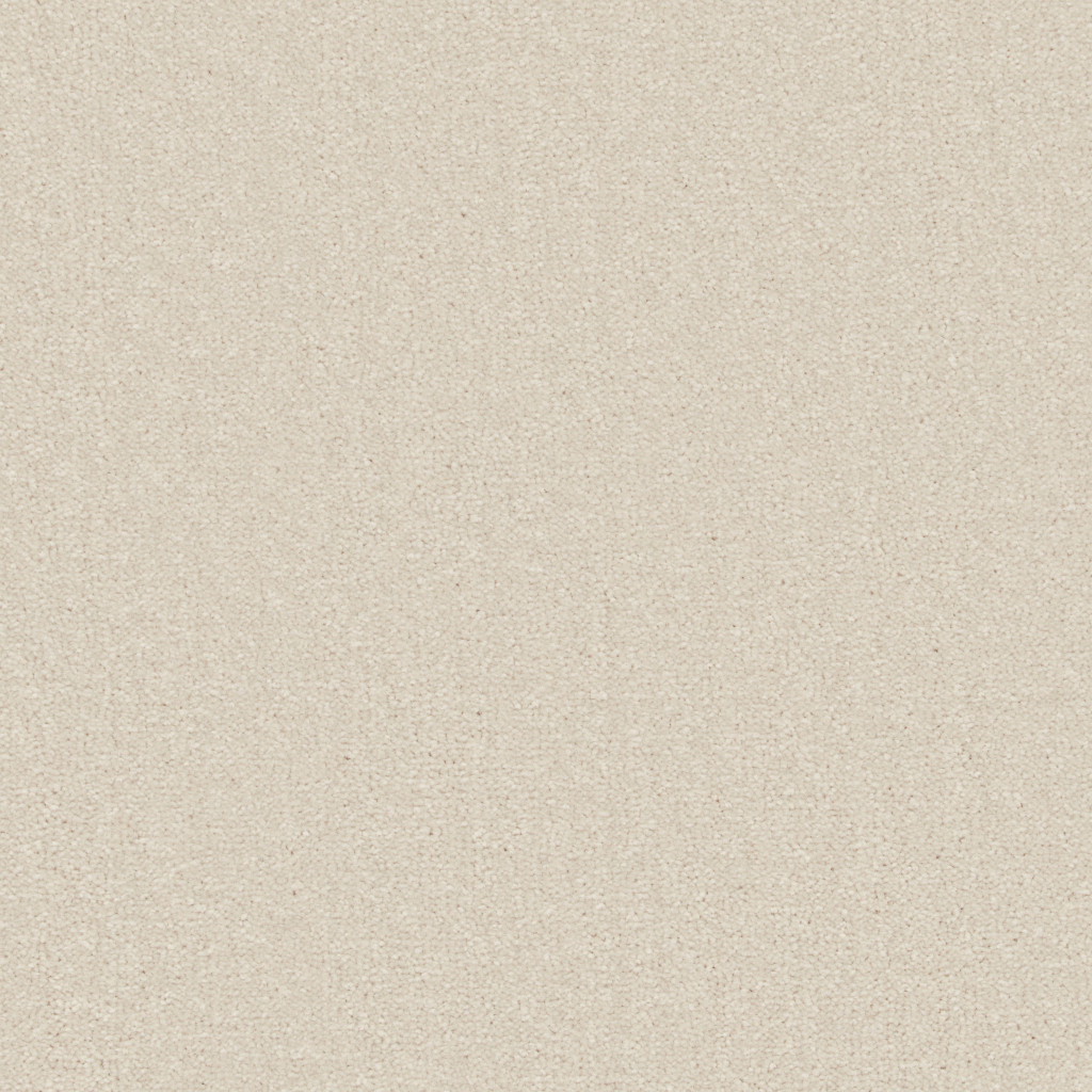 Cream Carpets for Sale | Cream Coloured Carpets | Tapi