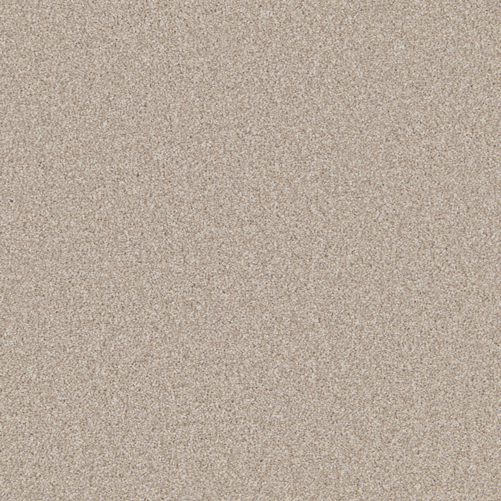Buy Beige Carpets Online | Upto 50% Off | Tapi Carpet & Flooring - page 4