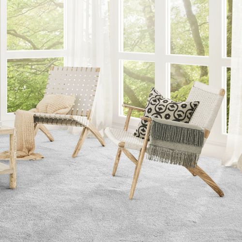 Carpets | Quality Carpets Online | Tapi