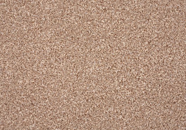 Beige Carpet | Tapi Carpets & Floors - page 2