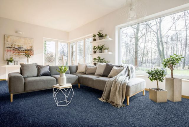 Light & Dark Green Carpet | Tapi Carpets & Floors