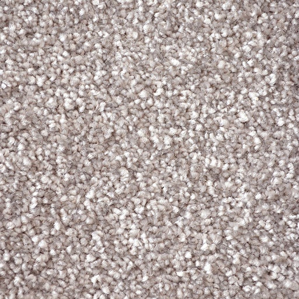 First Impressions Carpet | Tapi Carpets & Floors