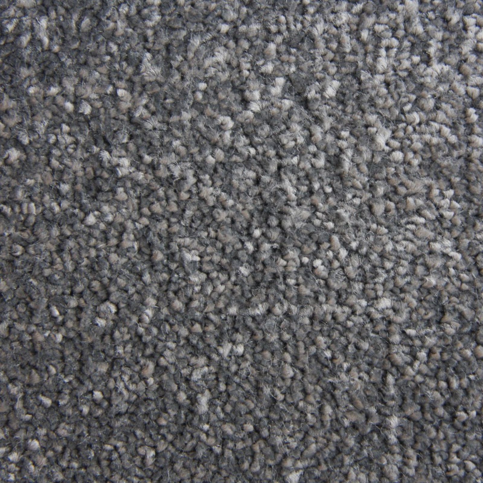 Trinity Carpet | Tapi Carpets & Floors