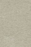 Lotus Carpet | Tapi Carpets & Floors