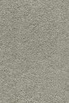 Lotus Carpet | Tapi Carpets & Floors