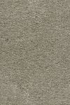 Lotus Carpet | Tapi Carpets & Floors