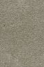 Lotus Carpet | Tapi Carpets & Floors