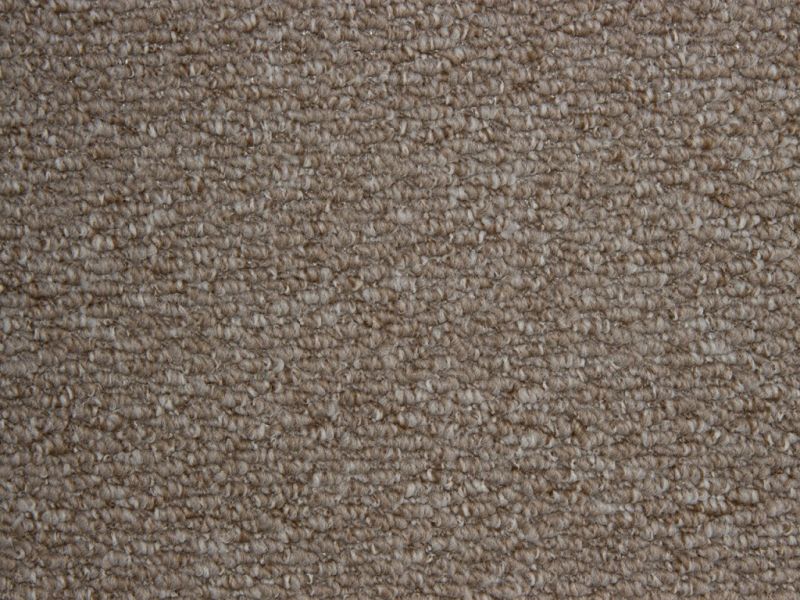 Alaska Loop Pile Carpet | Tapi Carpets & Floors