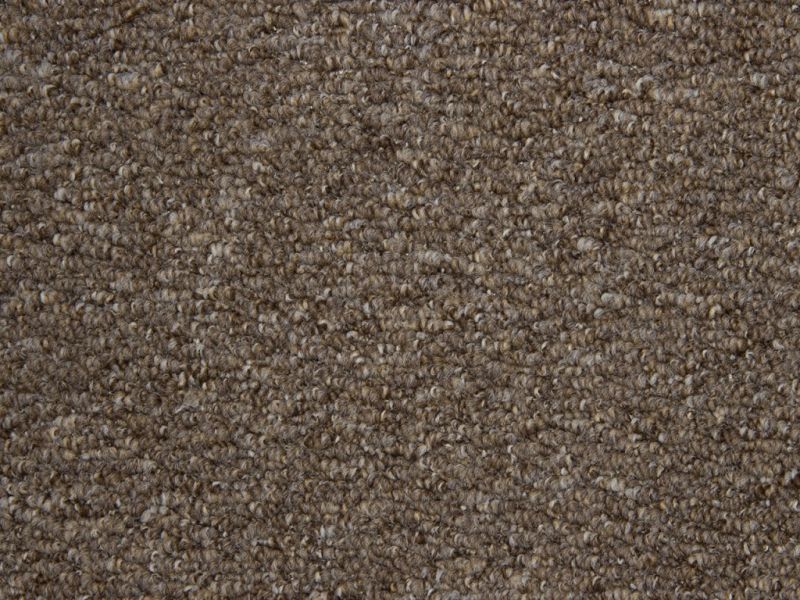 Alaska Loop Pile Carpet | Tapi Carpets & Floors