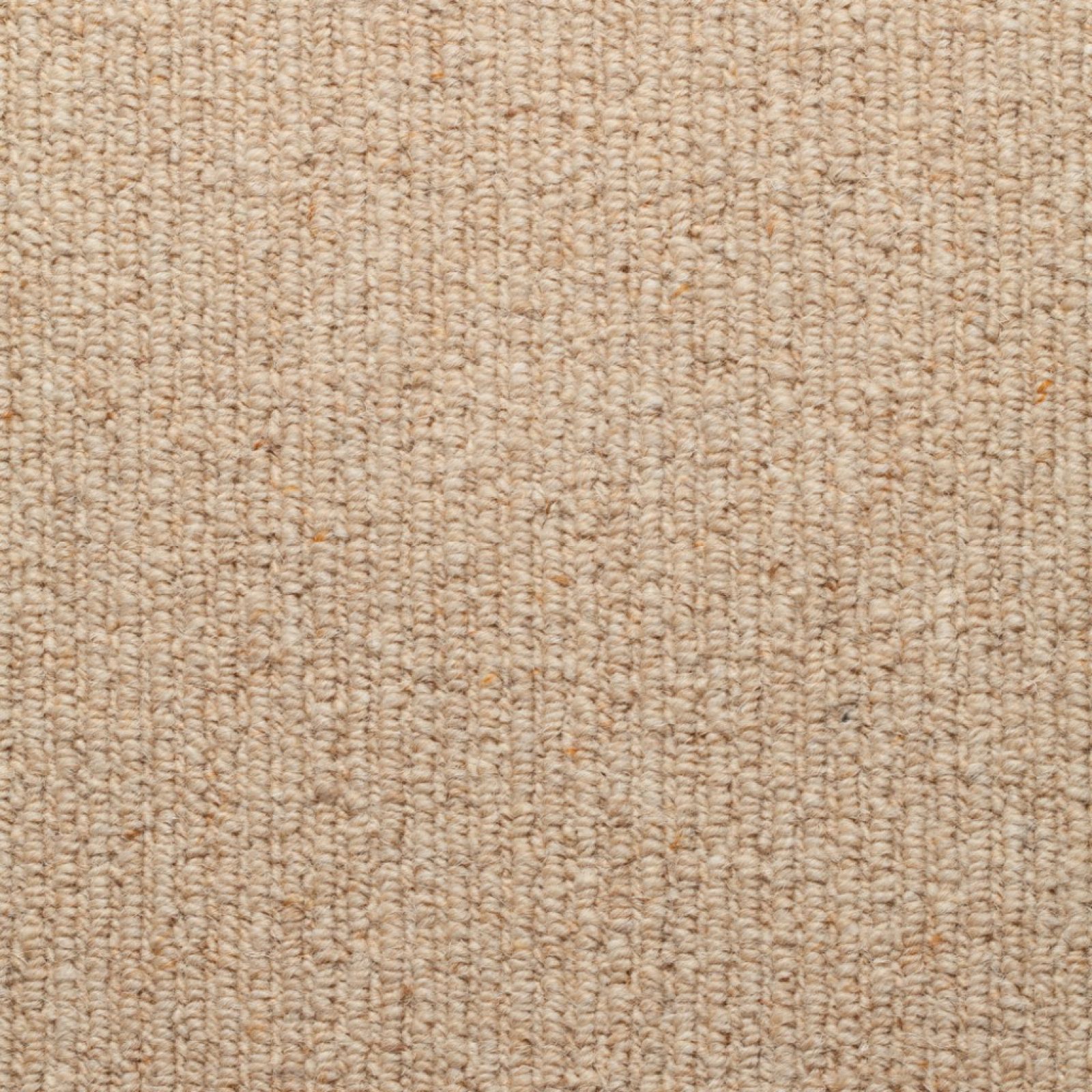 Bedouin Wool Loop Pile carpet | Tapi Carpets & Floors