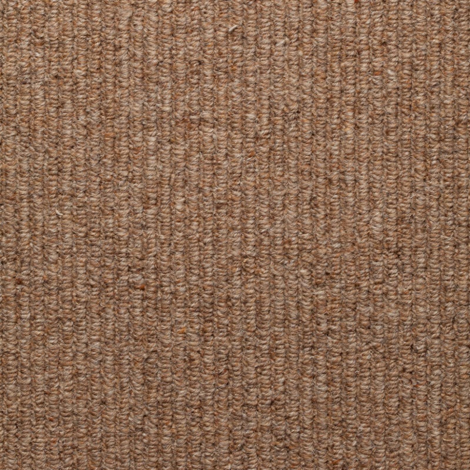 Bedouin Wool Loop Pile carpet | Tapi Carpets & Floors