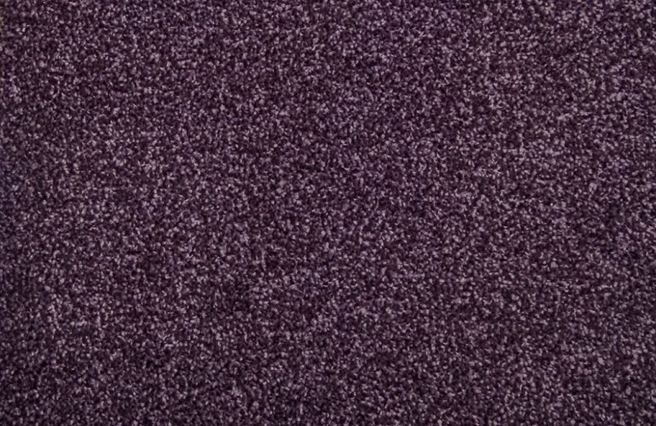 Purple Carpet | Tapi Carpets & Flooring