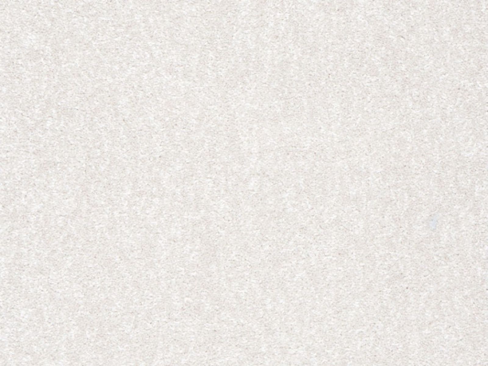 Cream Carpet | Tapi Carpets & Floors