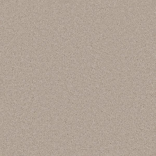 Eclipse Twist Carpet | Tapi Carpets & Floors