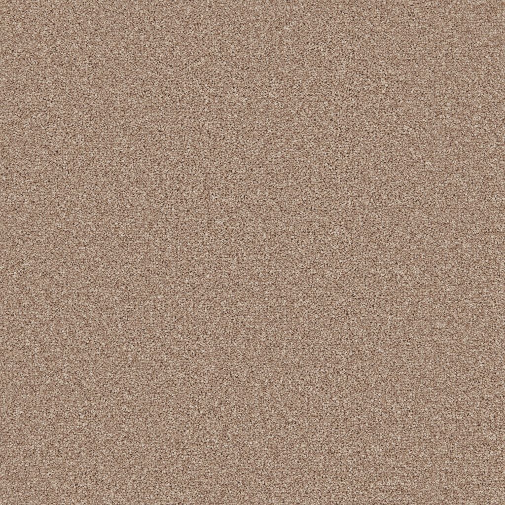 Eclipse Twist Carpet | Tapi Carpets & Floors